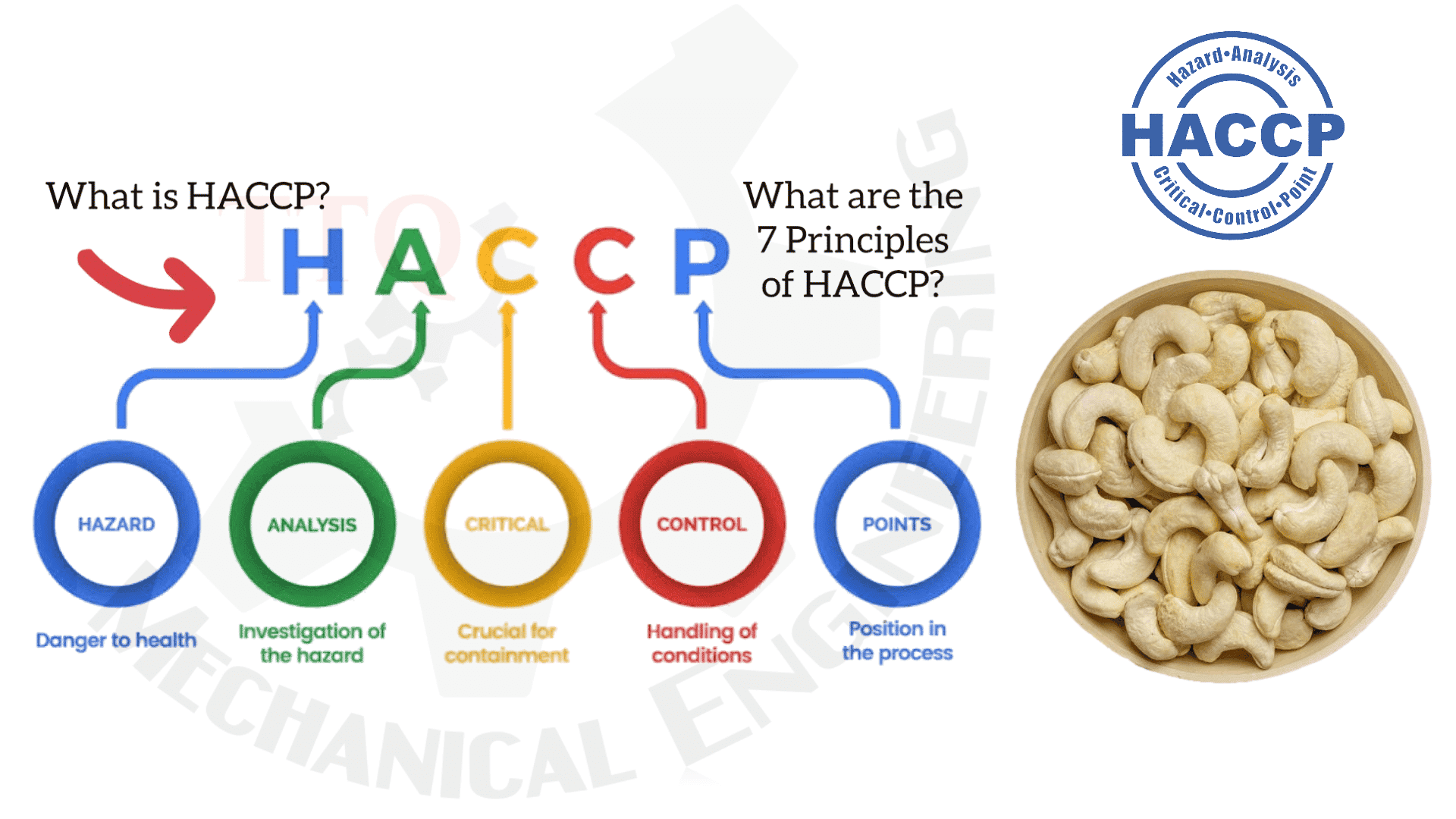 Setting Up a HACCP Certified Cashew Processing Plant