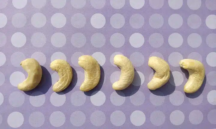 Cashew Grades | Different Cashew Nut Grades | Cashew Kernel