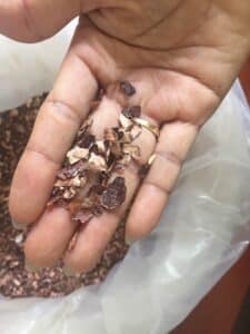 Cashew Husk | Cashew Nut Testa | Husk uses for Tannins