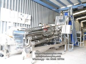 Cashew Nut Grading Machine | Grader and Sorting Machines | Precision ...
