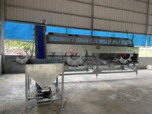 Cashew Nut Grading Machine | Grader and Sorting Machines | Precision ...
