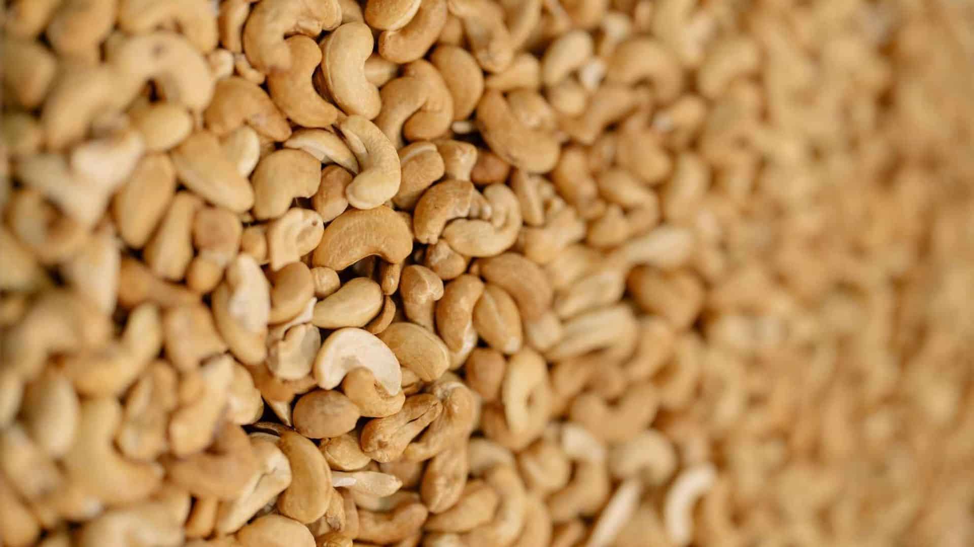 Cashew Classification: Guide to Cashew Grading & Cashews Classification